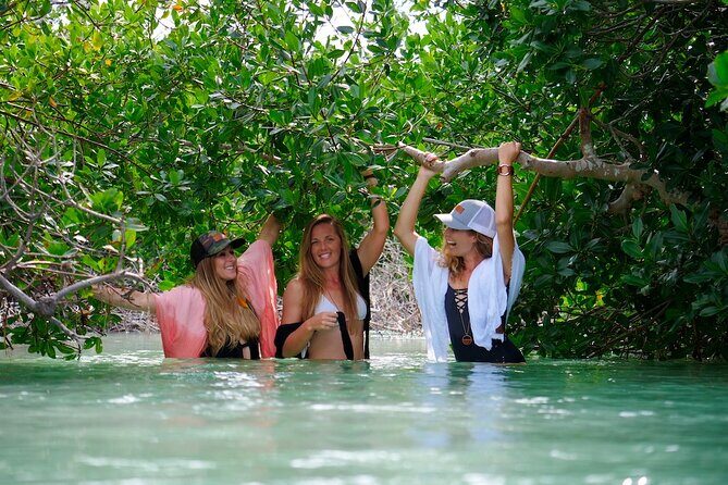 Full Day Charter Snorkeling Sandbar and Eco Safari Adventure - A Detailed Look at the Full Day Adventure in Key West