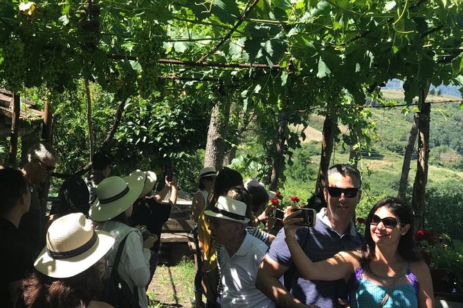 Full-Day Chianti Tour by Vespa Scooter from San Gimignano - FAQ (Frequently Asked Questions)