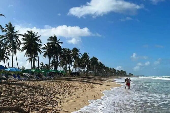 Full Day City Tour of Punta Cana - What Travelers Are Saying