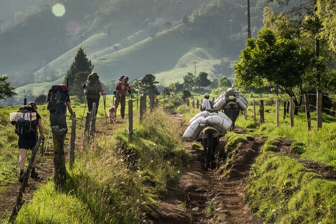 Full Day Climbing the Cocora Valley With Lunch - Traveler Experiences and Recommendations