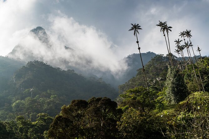 Full Day Climbing the Cocora Valley With Lunch - Cancellation Policy and Additional Notes