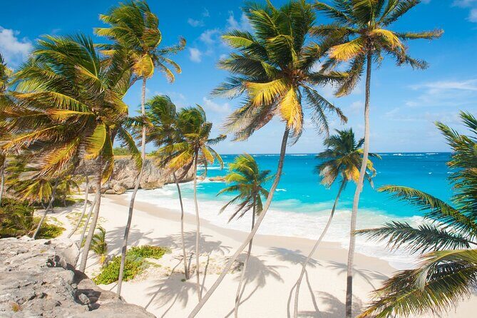 Full Day Coast to Coast Private Tour in Barbados - Full Day Coast to Coast Private Tour in Barbados: A Detailed Look