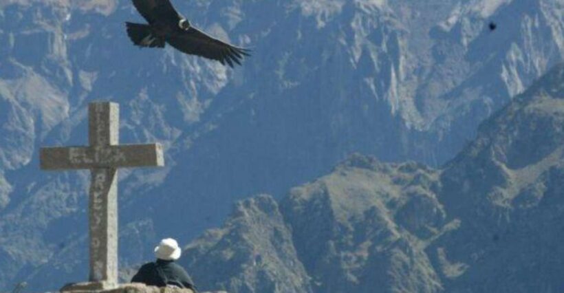 Full-Day Colca Canyon Tour from Arequipa - Practical Tips for Your Day