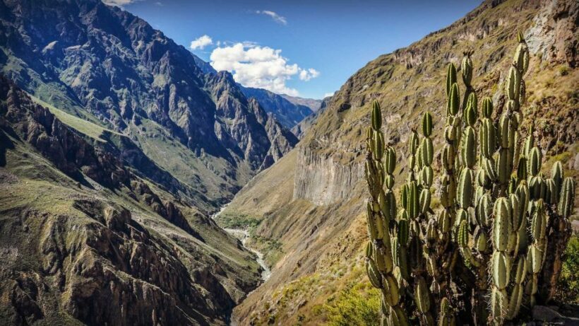 Full-Day Colca Canyon Tour from Arequipa - FAQ