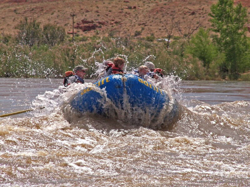 Full-Day Colorado River Rafting Tour at Fisher Towers - Price and Value