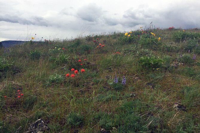 Full-day Columbia Gorge Hiking - Transport, Group Size, and Timing