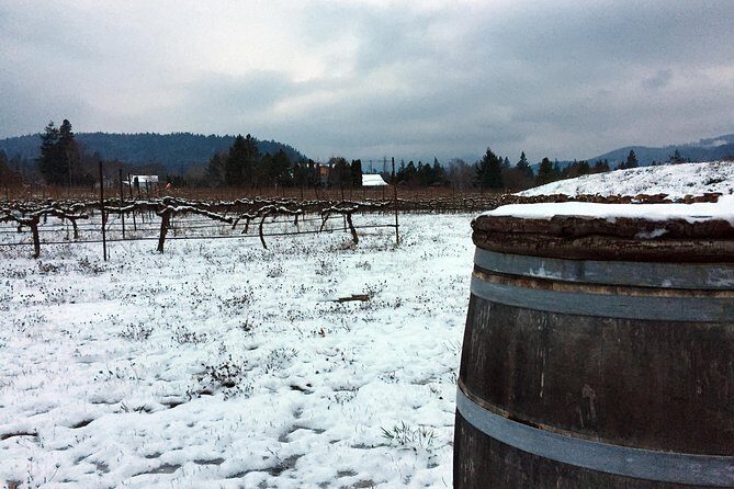 Full-day Columbia Gorge Hiking - Authentic Experiences from Past Travelers