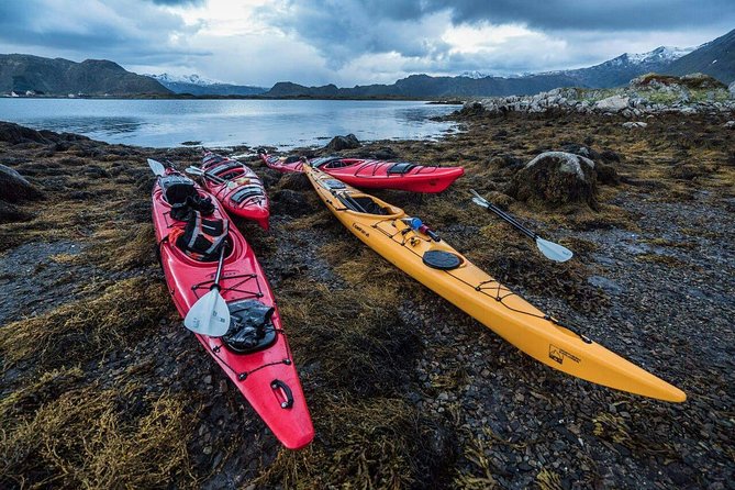 Full Day Combo Kayak and Rappel - Northern Explorer - Guide Expertise and Language Options