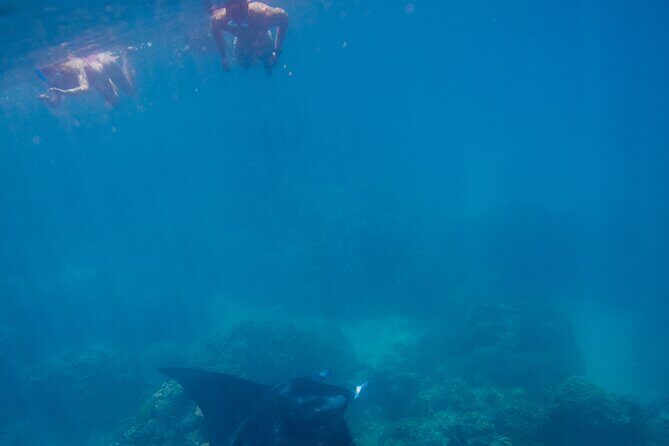 Full Day Combo Snorkeling with Buffet and Bora Bora ATV Tour - Key Points