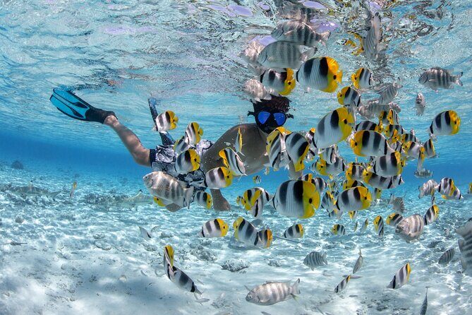 Full Day Combo Snorkeling with Buffet and Bora Bora ATV Tour - What’s Included and What’s Not