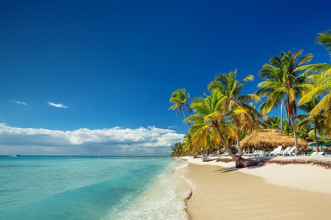 Full-Day Cruise to Saona Island - Natural Pool and Lunch - Authentic Experiences and Highlights