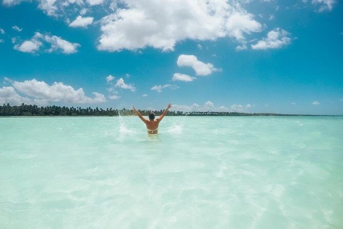 Full-Day Cruise to Saona Island - Natural pool and lunch - Key Points