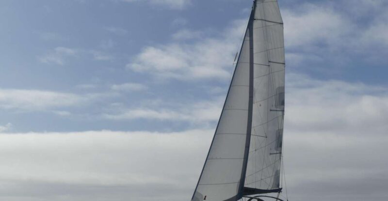 Full-day cruise with stopover on the island of Houat - Key Points