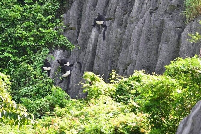 Full-Day Cuc Phuong National Park Hiking Tour - Why This Tour Stands Out