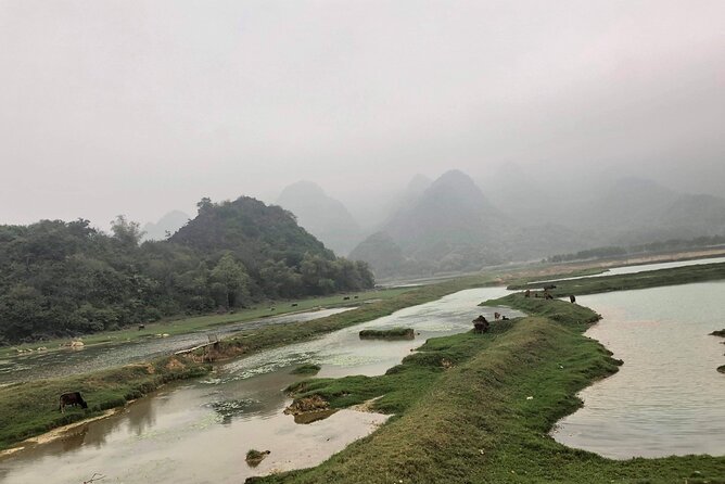 Full-Day Cuc Phuong National Park Hiking Tour - What Past Travelers Say