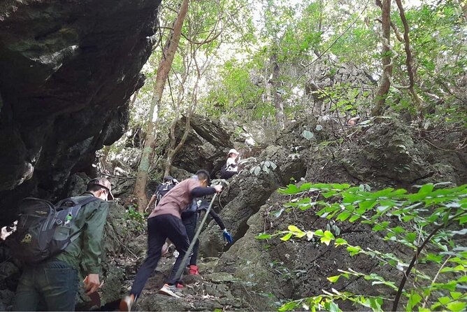Full-Day Cuc Phuong National Park Hiking Tour - Who Is This Tour Best For?