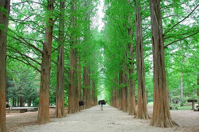 Full-Day Customizable Private Tour to Nami Island and surrounding Area - Additional Information