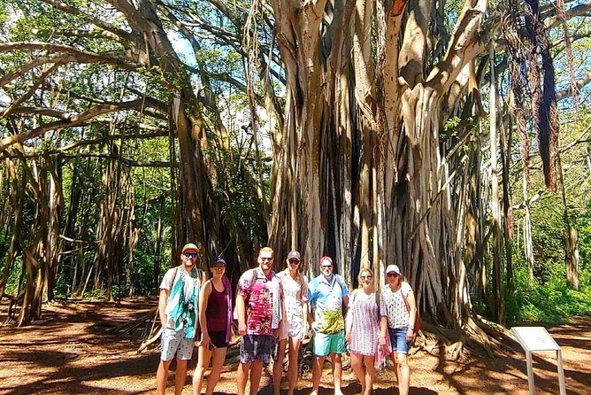 Full Day Customized North Shore Private Tour - Accessibility and Requirements for Participation