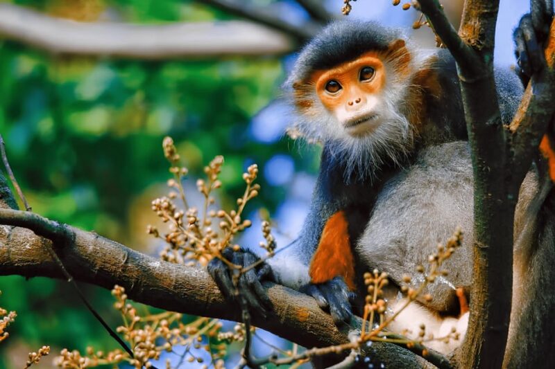 Full day Da Nang & Hoi An Tour Tour - The Sum Up