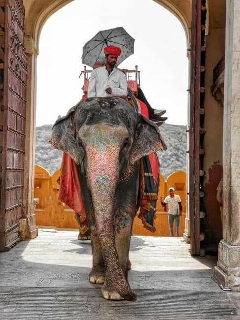 Full Day Delhi Siteseen Tour Including New Delhi & Old Delhi - An In-Depth Look at the Delhi Siteseen Tour