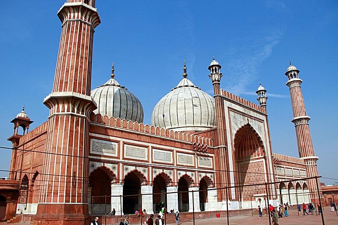 Full Day Delhi Tour - Iconic Government Buildings and Memorials