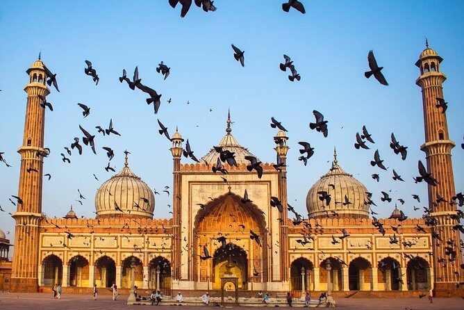 Full day Delhi tour with a Local - Private Delhi Day Tour - Authentic Experiences and Real Insights