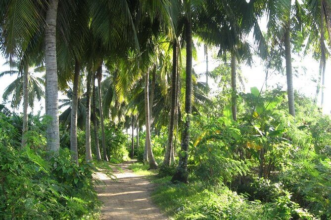 Full Day Deluxe Small Group Tour to Mekong Delta - Final Thoughts