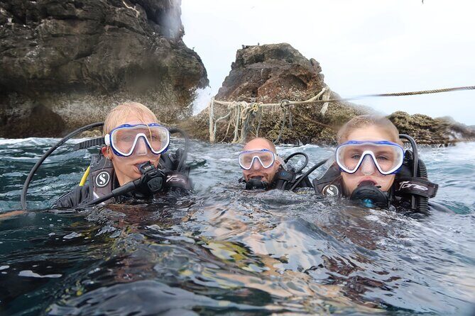 Full Day Diving Activity in Thailand with Lunch - Introduction