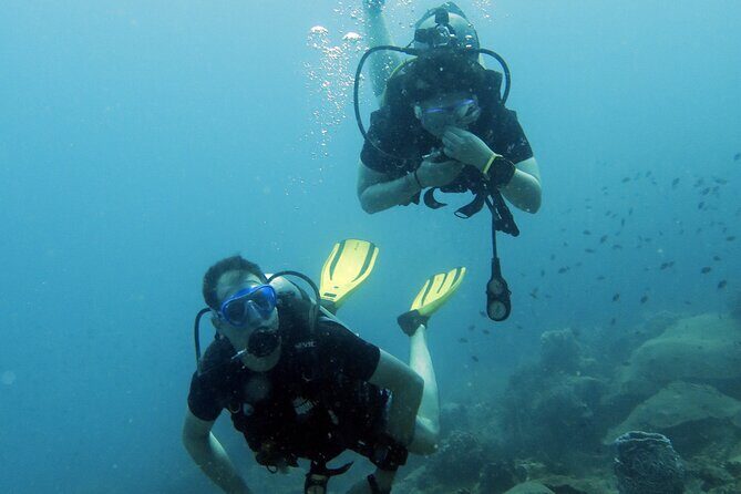 Full Day Diving Activity in Thailand with Lunch - Who This Tour Is Best For