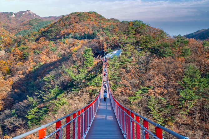 Full Day DMZ with Red Suspension Bridge Tour from Seoul - Final Thoughts