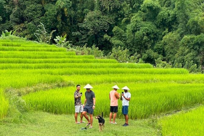 Full-Day Doi Inthanon National Park Tour with Trek and Pagodas - Visiting the Kings and Queens Pagodas