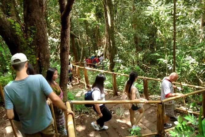 Full-Day Doi Inthanon National Park Tour with Trek and Pagodas - Coffee Break and Waterfall Wonder