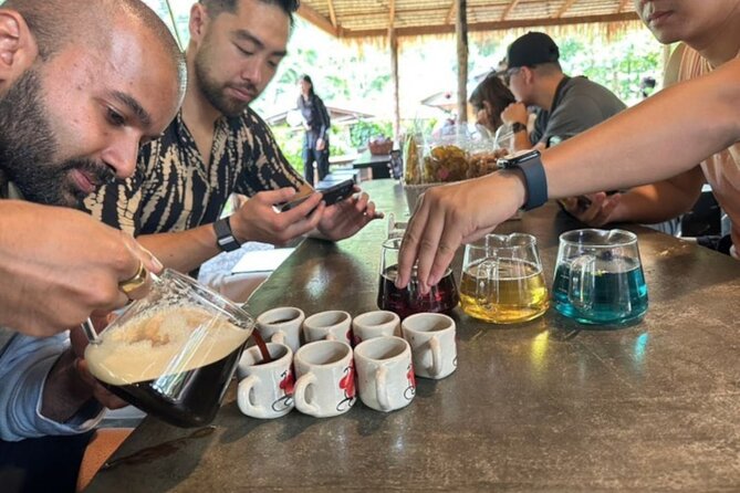 Full-Day Doi Inthanon National Park Tour with Trek and Pagodas - Return to Chiang Mai