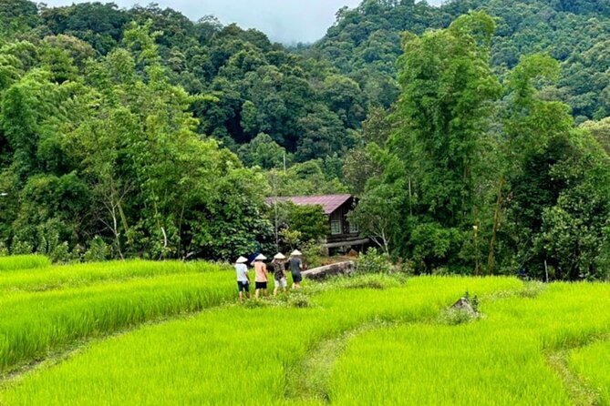 Full-Day Doi Inthanon National Park Tour with Trek and Pagodas - Practical Considerations
