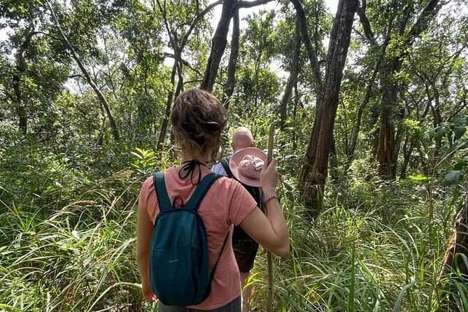 Full Day Doi Saket Hiking Tour - The Sum Up