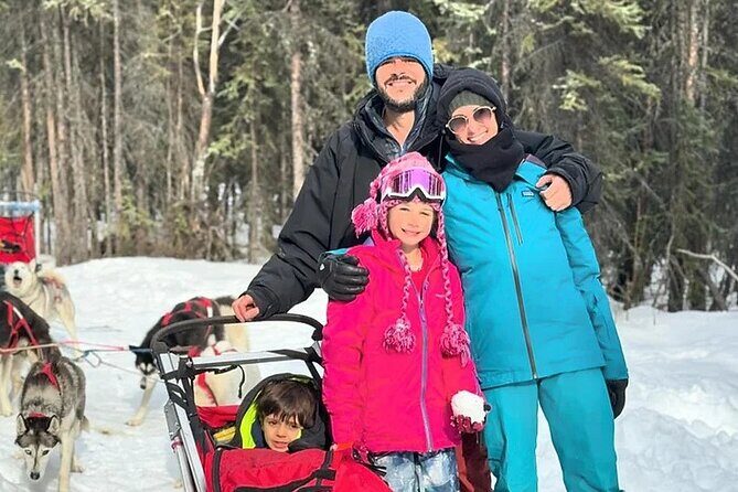 Full Day "Drive Your Own Dog Team" Dog Sledding Tour - Who Should Consider This Tour?