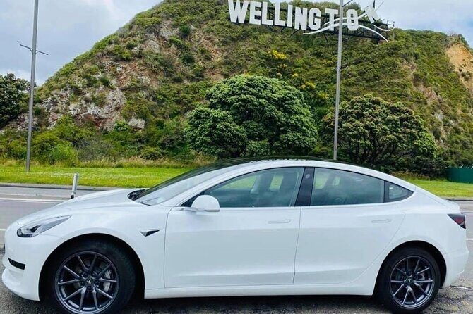 Full-Day Driver with Tesla Model 3-Customisable North Island Tour - Key Points