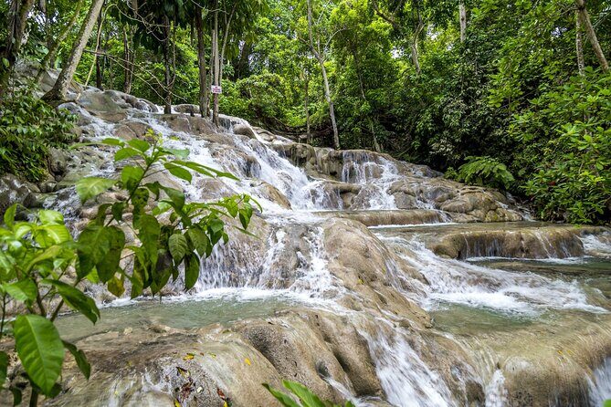 Full Day Dunn's River and Nine Miles with Lunch - The Lunch and Additional Costs