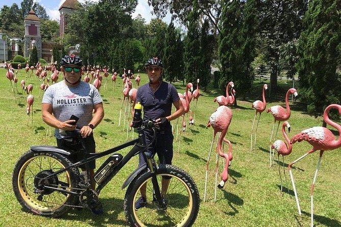 Full-day E-bike adventure Ping River and Nam Phrae (flat-hilly, GUIDED) - Scenic Cycling Along the Ping River