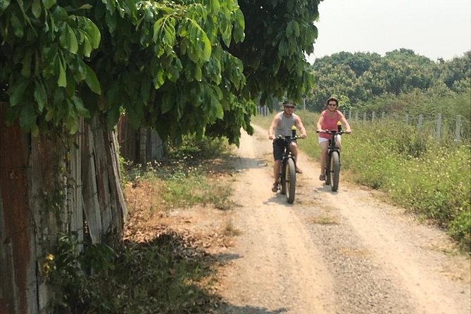 Full-day E-bike adventure Ping River and Nam Phrae (flat-hilly, GUIDED) - Flexibility and Comfort