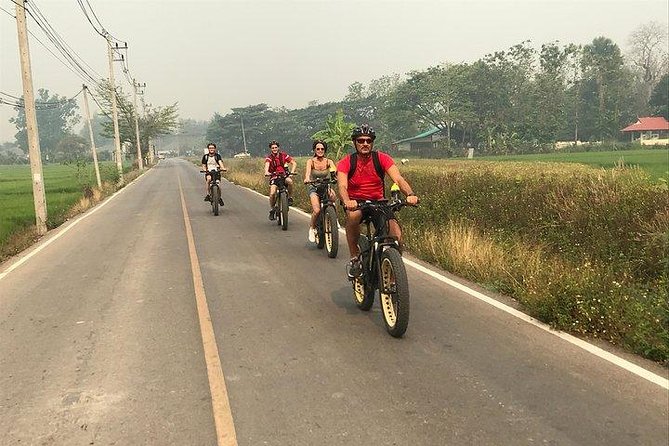 Full-day E-bike adventure Ping River and Nam Phrae (flat-hilly, GUIDED) - Additional Considerations