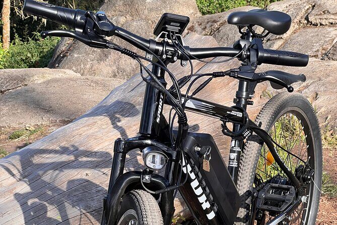 Full Day E-Bike Rental in San Francisco Charger Included! - Introduction: What to Expect from the E-Bike Rental Experience