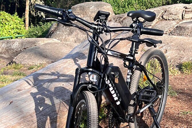 Full Day E-Bike Rental in San Francisco Charger Included! - Exploring the Itinerary in Detail