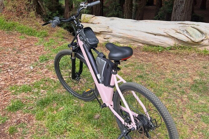 Full Day E-Bike Rental in San Francisco Charger Included! - FAQ: Practical Questions About the E-Bike Rental