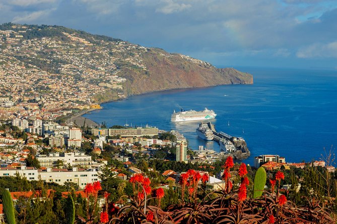 Full Day East of Madeira Tour - Price and Value