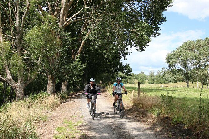 Full Day Ebike Tour in Karangahake Gorge (ex Auckland) - An In-Depth Look at the Tour Experience