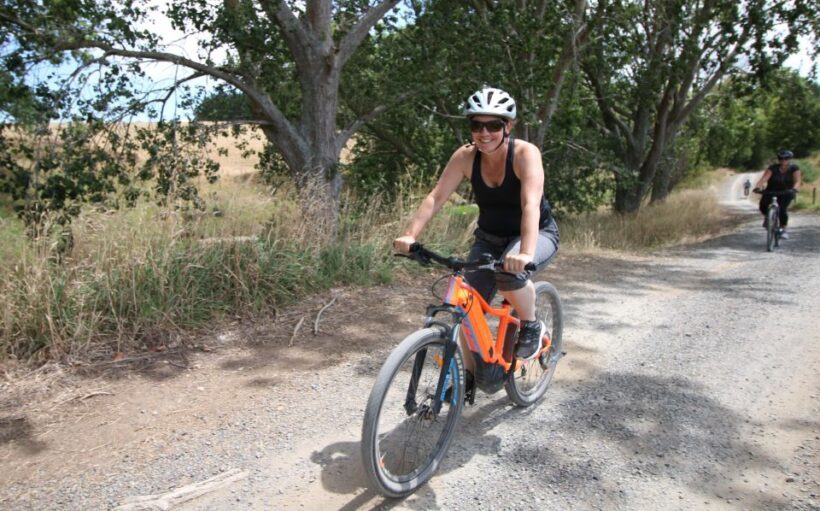 Full Day Ebike Tour - Karangahake Gorge NZ - Key Points