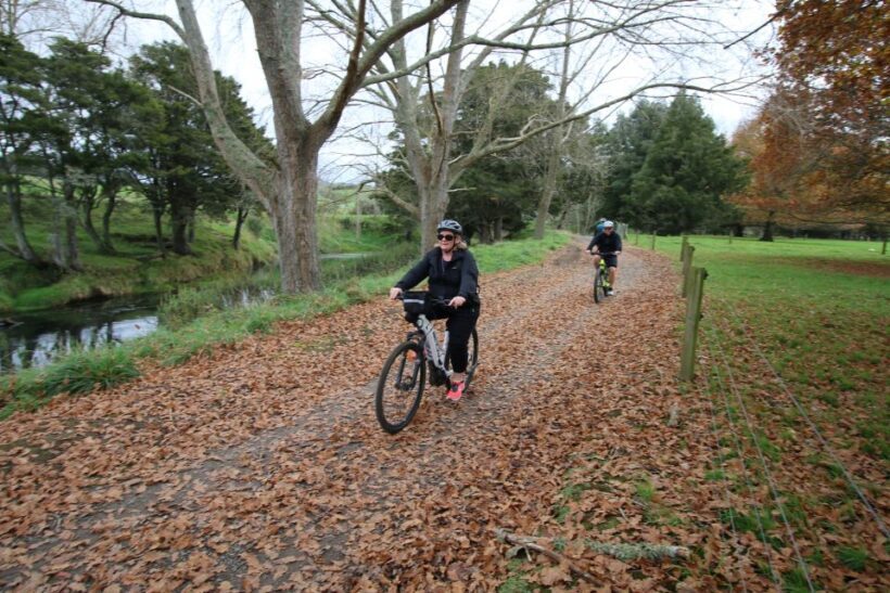 Full Day Ebike Tour - Karangahake Gorge NZ - The Ride: Grade, Comfort, and Enjoyment