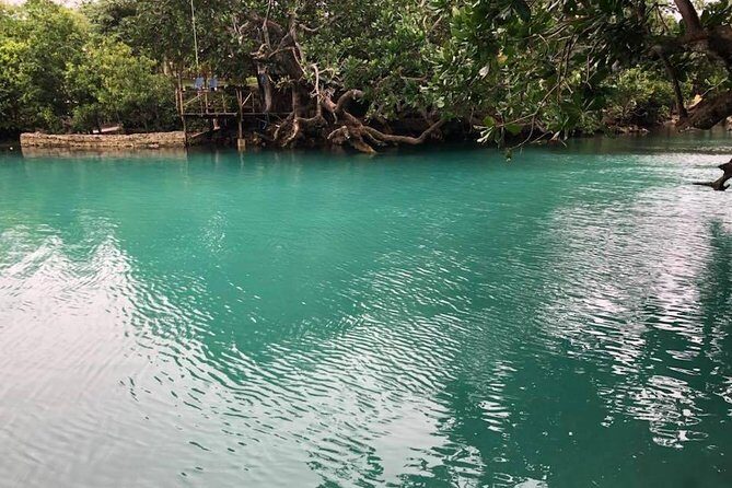 Full-Day Efate Round Island Trip with Yumi Tours - Final Thoughts