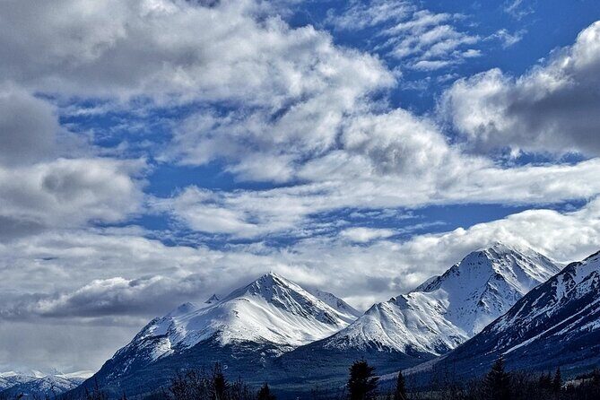 Full Day Emerald Lake Tour with or without Huskies - Price and Value